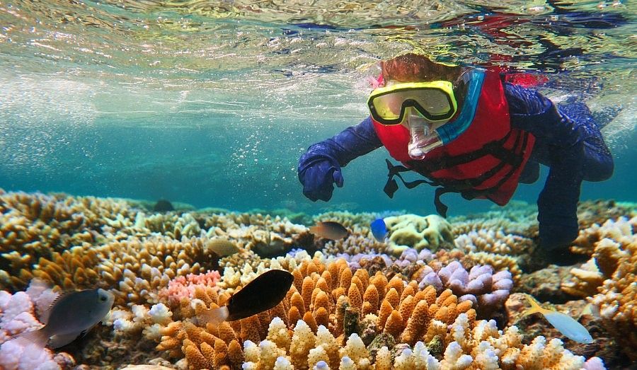 Immersioni in Australia